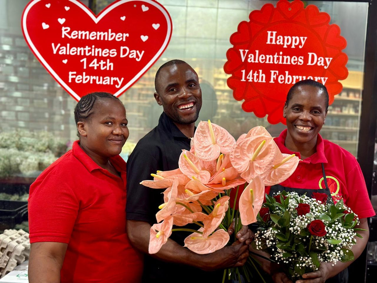 About Us – Impala Online