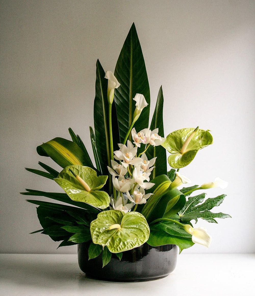 Impala Online - Flowers, Gifts & Occasions
