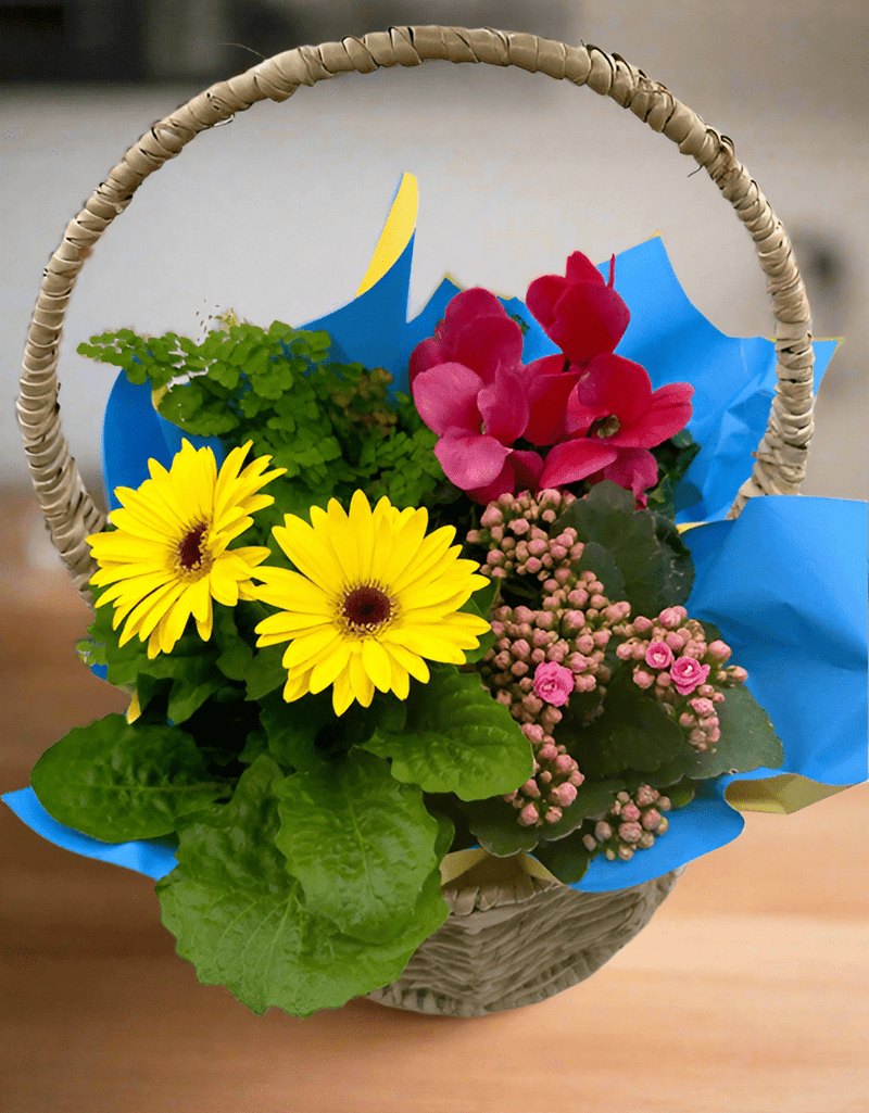 Impala Online - Flowers, Gifts & Occasions