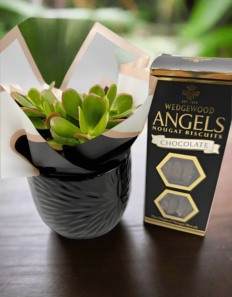 Impala Online - Flowers, Gifts & Occasions