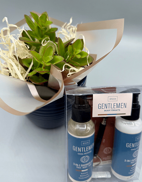 Succulent Plant in Navy-Blue Ceramic Pot with Gentlemen Gift Set ...