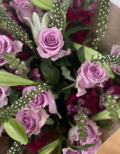 Lilac Delight – Impala Online