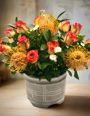 Impala Online - Flowers, Gifts & Occasions